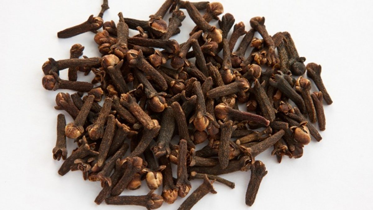 Como usar Cravo da Índia e seus Benefícios | Saúde Logo Ali